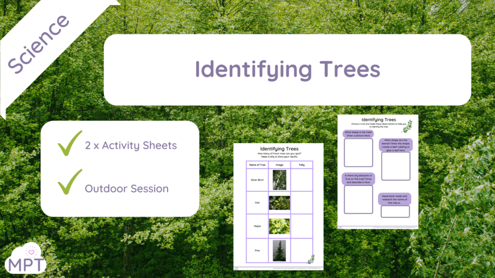 Forest School Rules Poster | The Muddy Puddle Teacher Forest School Rules Poster | The Muddy Puddle Teacher